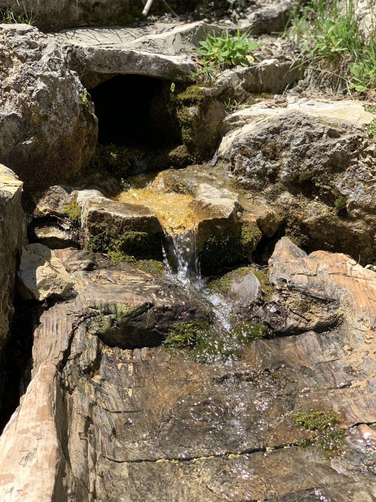 Horsh Ehden Nature Reserve (Hiking Trail) - Lebanon Tourism Guide