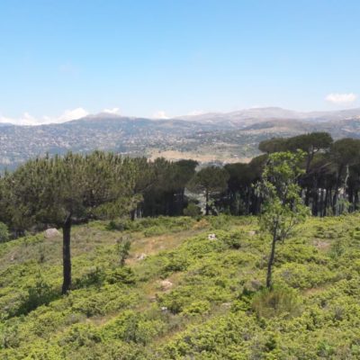 Marj Baskinta – Hiking - Lebanon Tourism Guide