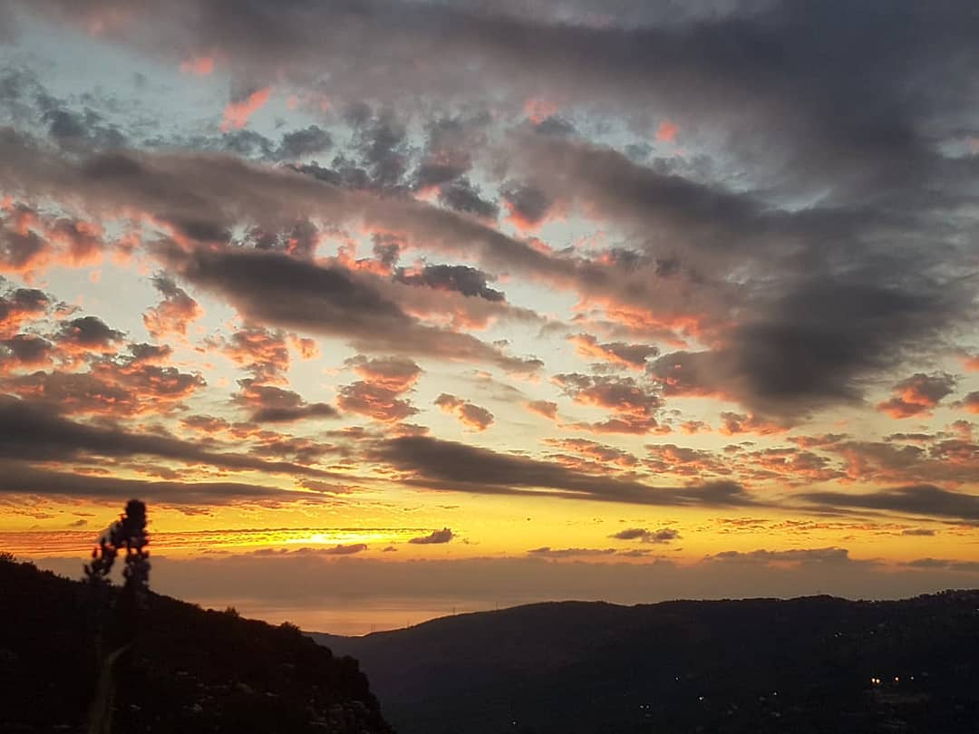 Lavender getaway - Lebanon Tourism Guide