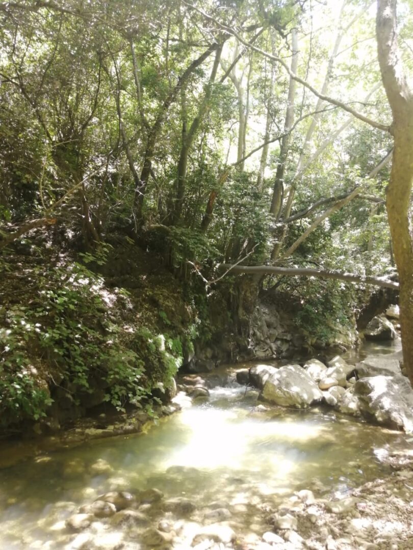 Rechmaya river – waterfall hike - Lebanon Tourism Guide