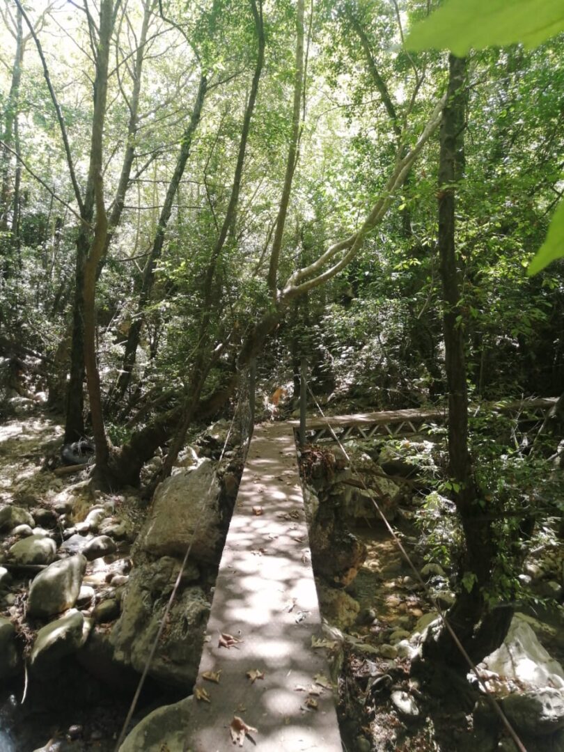 Rechmaya river – waterfall hike - Lebanon Tourism Guide