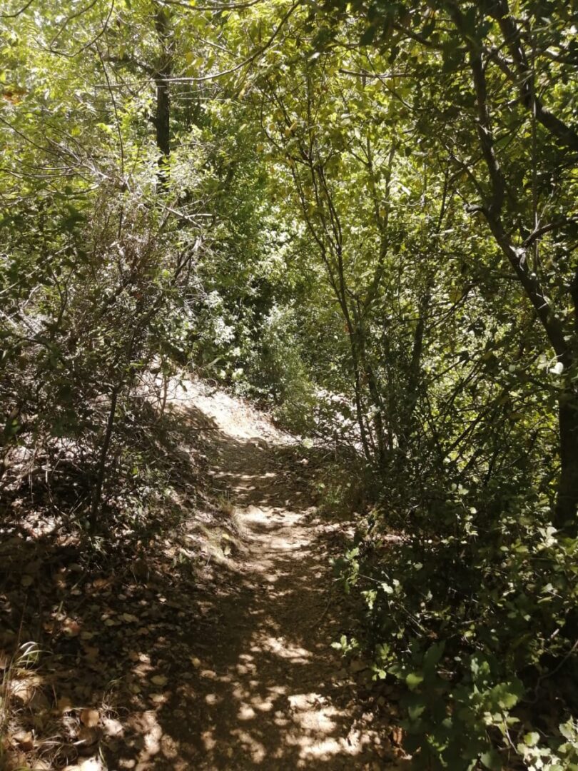 Rechmaya river – waterfall hike - Lebanon Tourism Guide