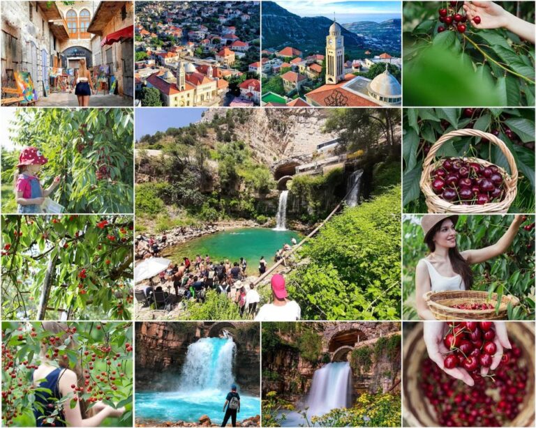 Cherry-picking & Tour at Afqa & Douma - Lebanon Tourism Guide