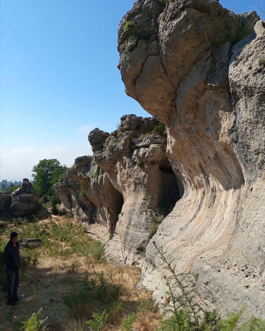 Al Jourd Ecotourism & Camspite - Lebanon Tourism Guide