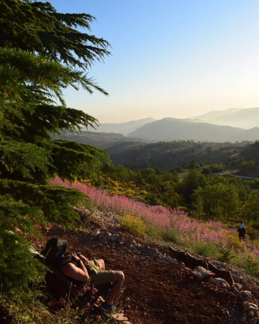 Cedars Ground Campsite - Lebanon Tourism Guide