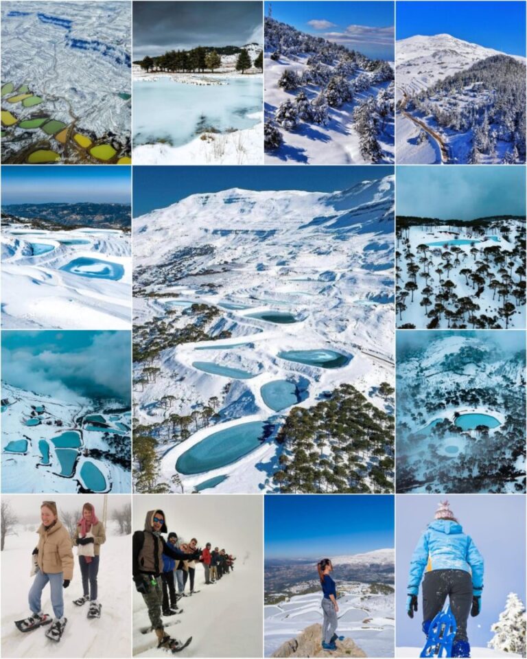 Snowshoeing at FALOUGHA - Lebanon Tourism Guide