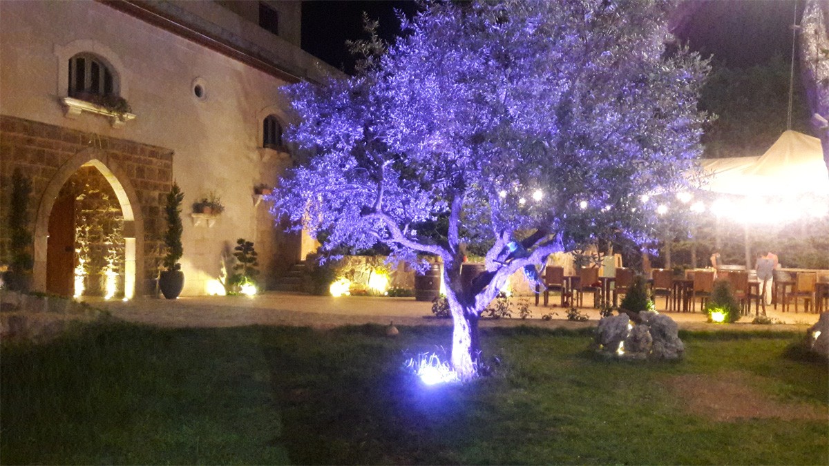 ardoum winery mtein | Lebanese wine makers | arak